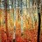 Automne malade, Apollinaire : un poème entre tradition et modernité