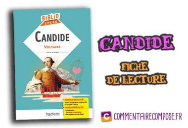 Candide, Voltaire : fiche de lecture avec résumé + analyse